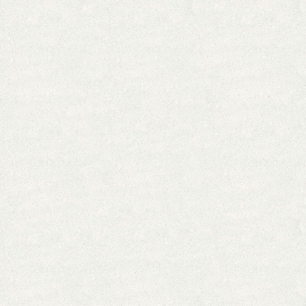 Igloo White - Signature Interior Expressions